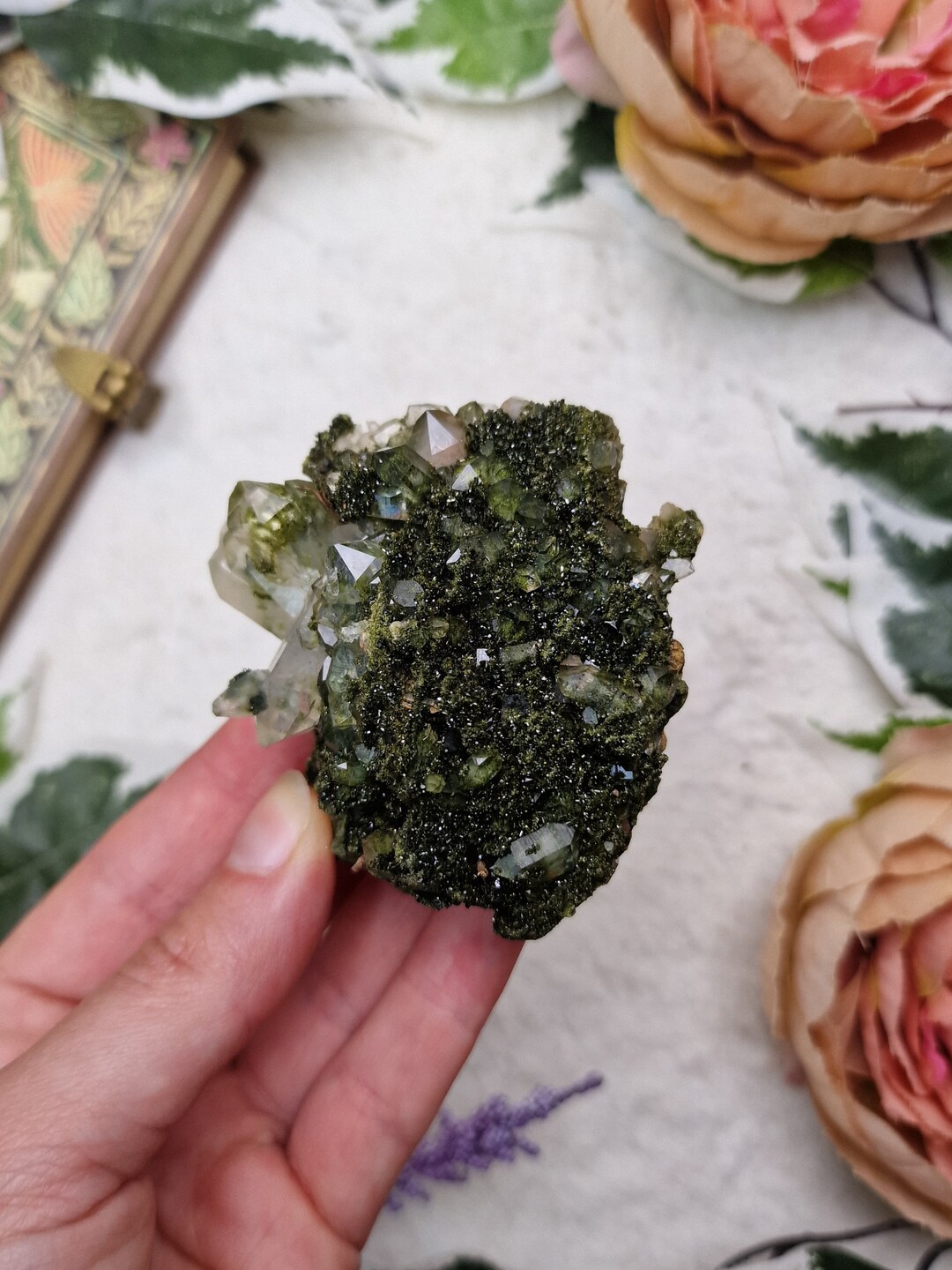 Forest Epidote Cluster Turkey / Adjustable Display Stand Geode Gemstone ...