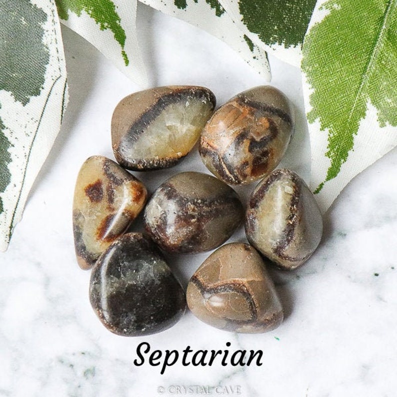 Septarian Dragon Stone Crystal - Tumbled Stone - Polished Stone ...