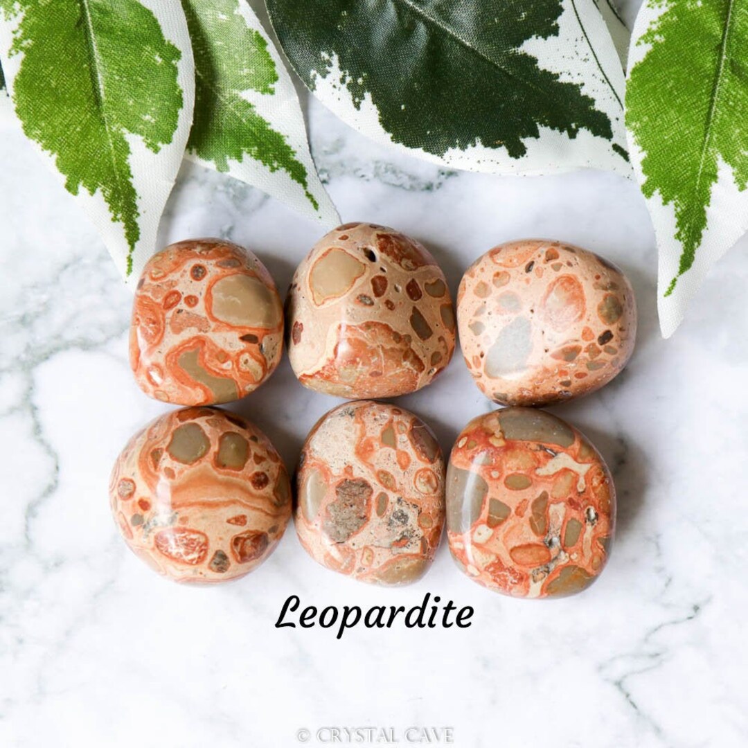Leopardite Jasper Crystal Tumbled Stone Polished Stone Gemstone ...