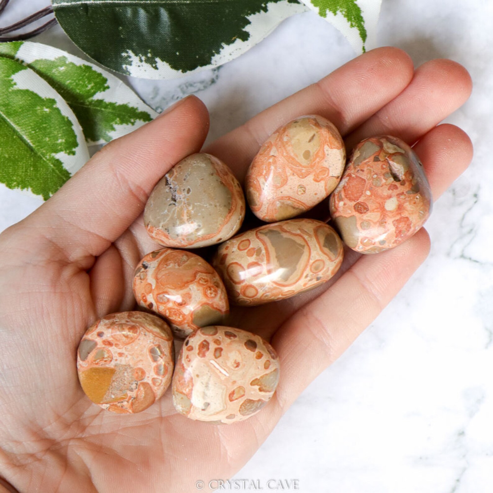 Leopardite Jasper Crystal Tumbled Stone Polished Stone - Etsy