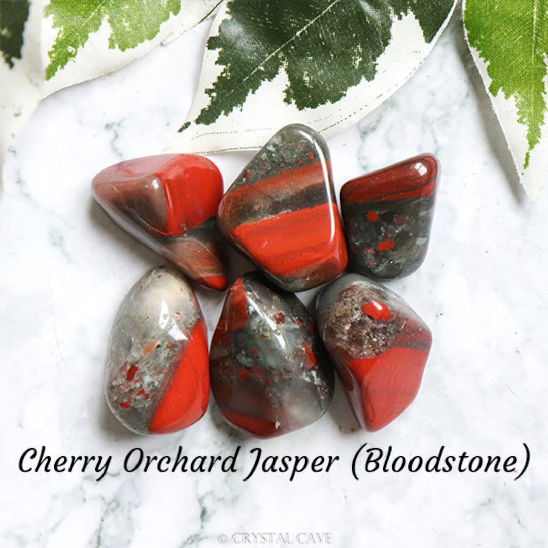 Cherry Orchard Jasper Bloodstone Crystal - Tumbled Stone Polished Stone ...