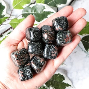 Garnet in Biotite Crystal - Tumbled Stone - Polished Black Mica ...