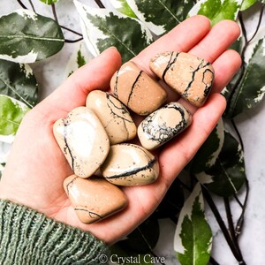 Ivory Jasper Crystal - Tumbled Stone Polished Gemstone / Wholeness ...