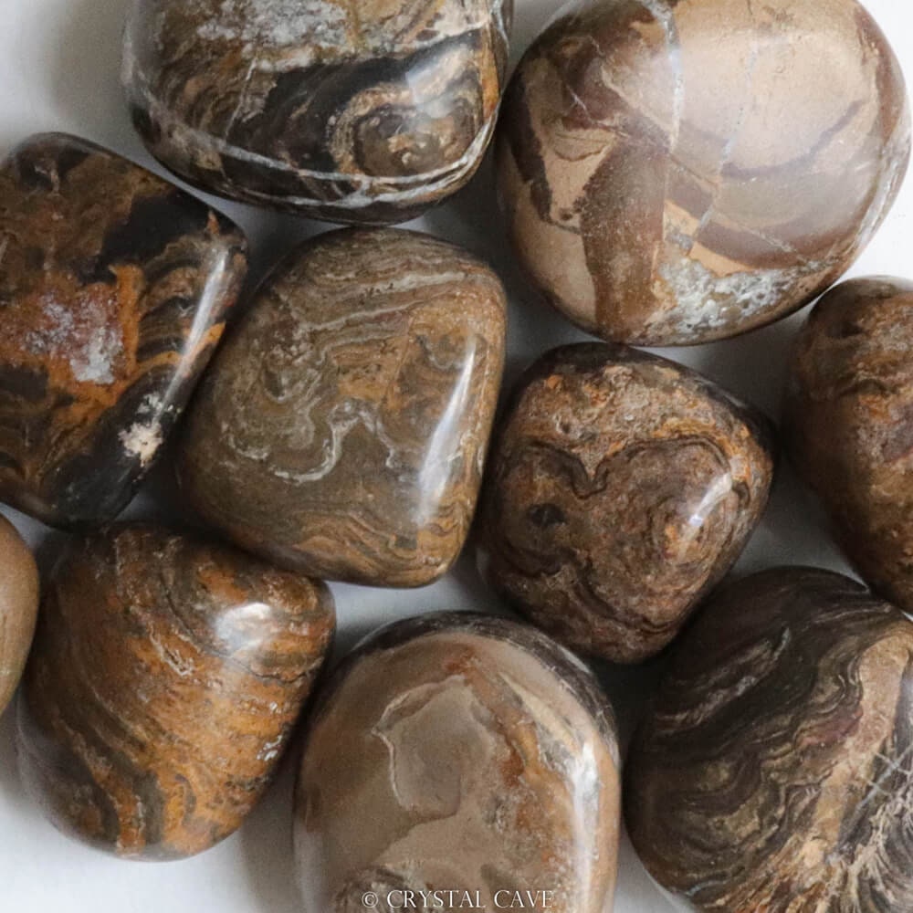 Stromatolite Crystal - Tumbled Stone Polished Gemstone / Personal ...