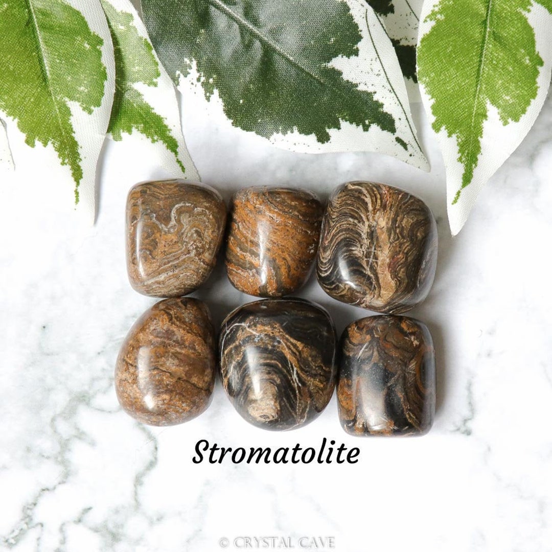 Stromatolite Crystal - Tumbled Stone Polished Gemstone / Personal ...