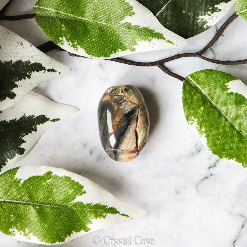 Silver Leaf Jasper Crystal Tumbled Stone Polished Stone | Etsy