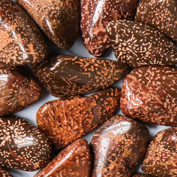 Star Jasper Crystal Tumbled Stone Polished Stone - Etsy