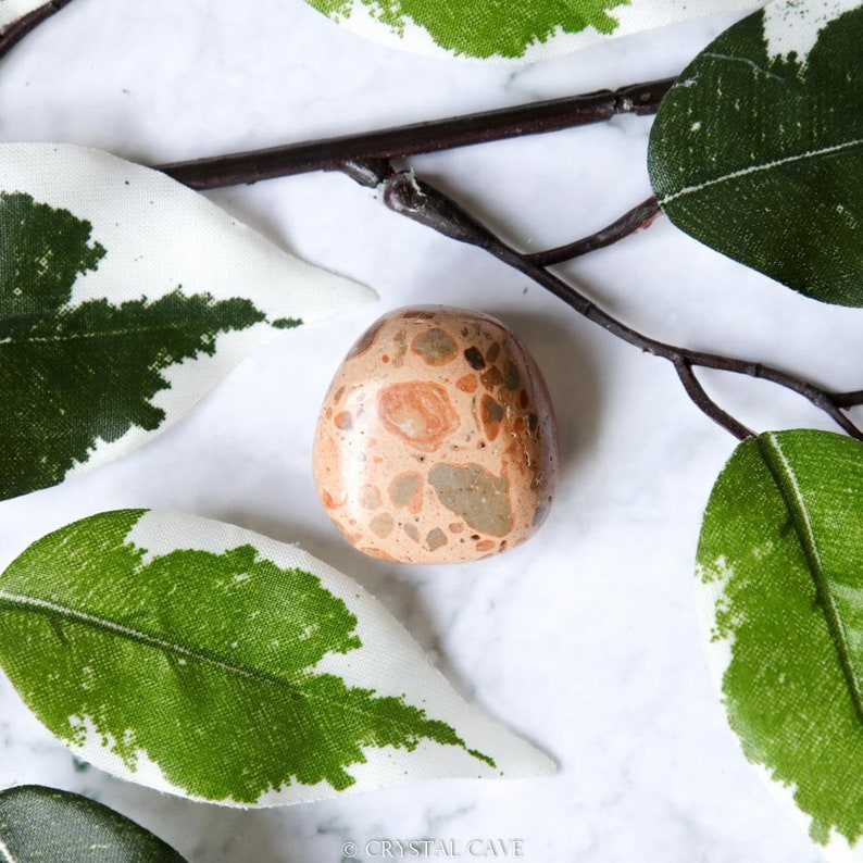 Leopardite Jasper Crystal Tumbled Stone Polished Stone - Etsy