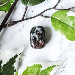 Garnet in Biotite Crystal - Tumbled Stone - Polished Black Mica ...