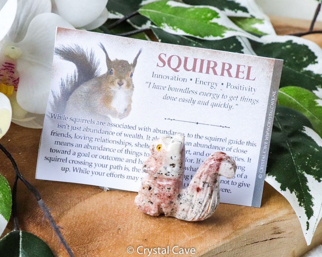 Soapstone Squirrel - Spirit Animal Totem Power Gemstone Crystal Stone ...