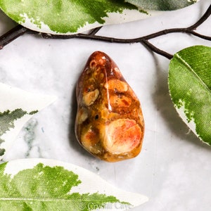 Birds Eye Jasper Rhyolite Crystal - Tumbled Stone Polished Gemstone ...