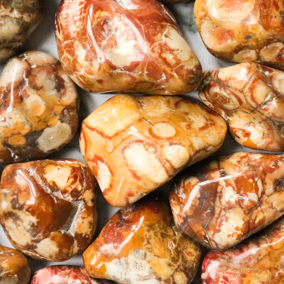 Birds Eye Jasper Rhyolite Crystal - Tumbled Stone Polished Gemstone ...