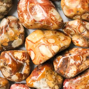 Birds Eye Jasper Rhyolite Crystal - Tumbled Stone Polished Gemstone ...
