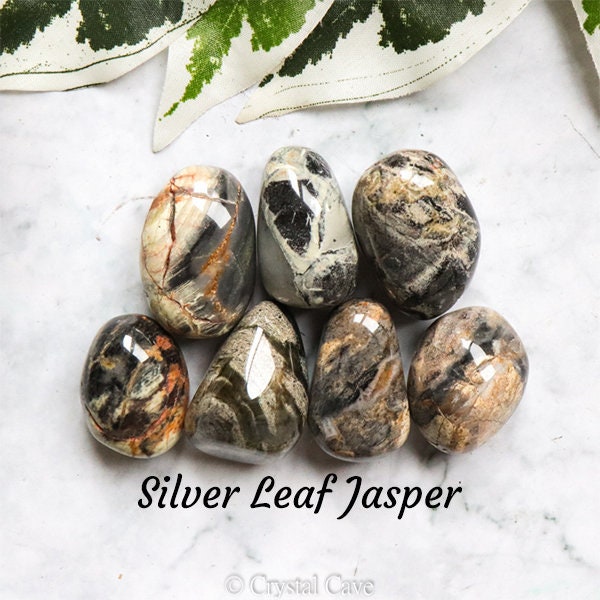 Silver Leaf Jasper Crystal Tumbled Stone Polished Stone - Etsy