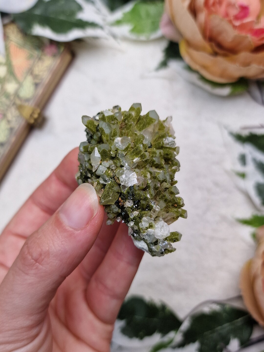 Forest Epidote Cluster Turkey / Adjustable Display Stand Geode Gemstone ...