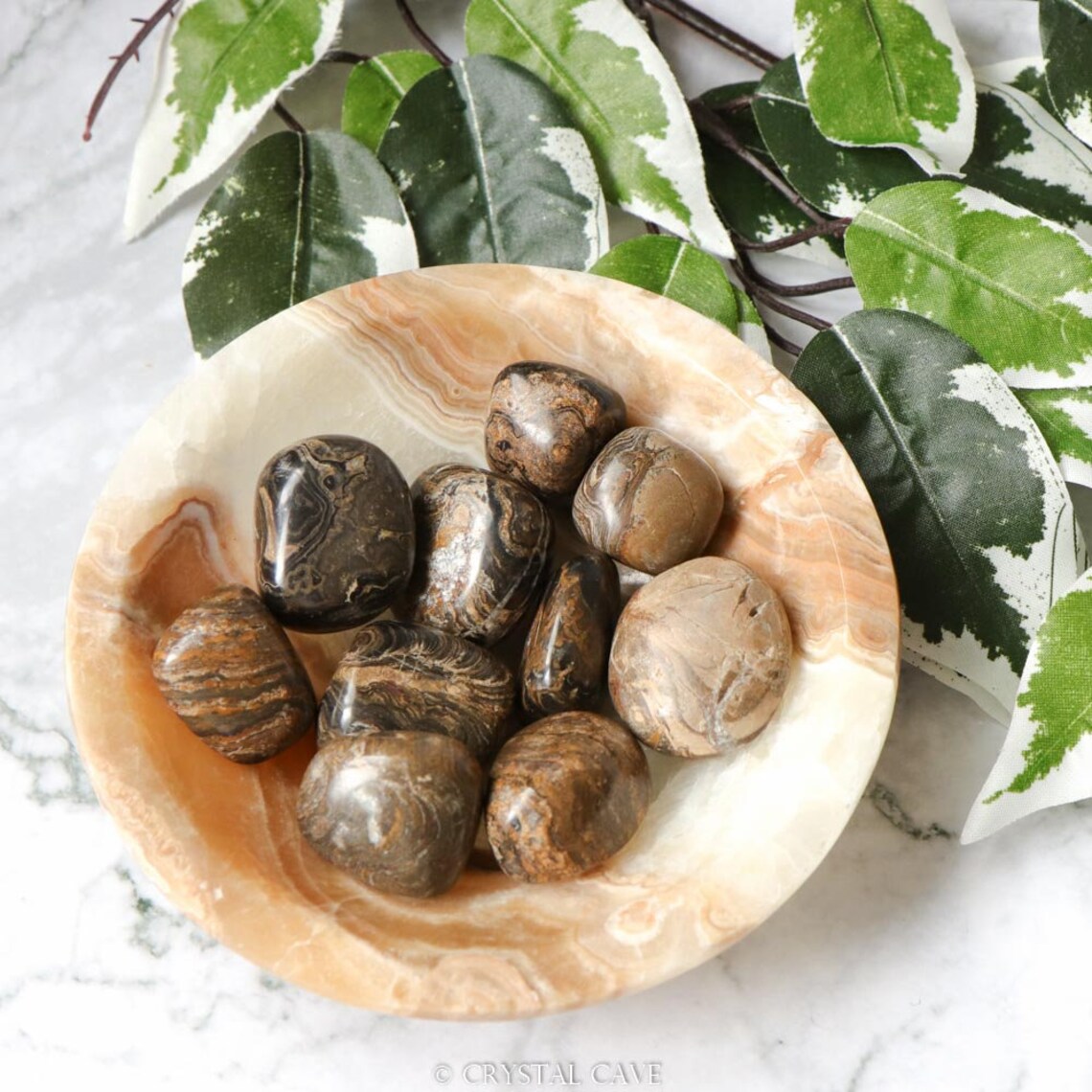Stromatolite Crystal - Tumbled Stone Polished Gemstone / Personal ...