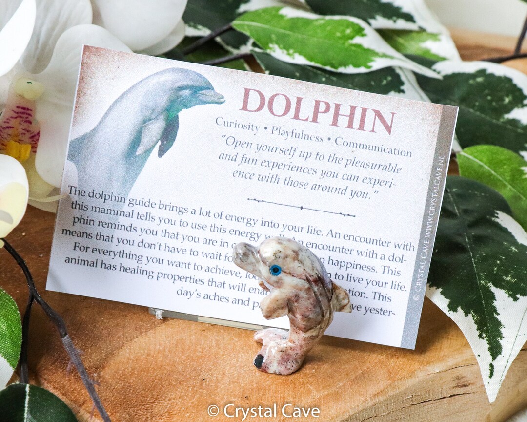 Soapstone Dolphin - Spirit Animal Totem Power Gemstone Crystal Stone ...