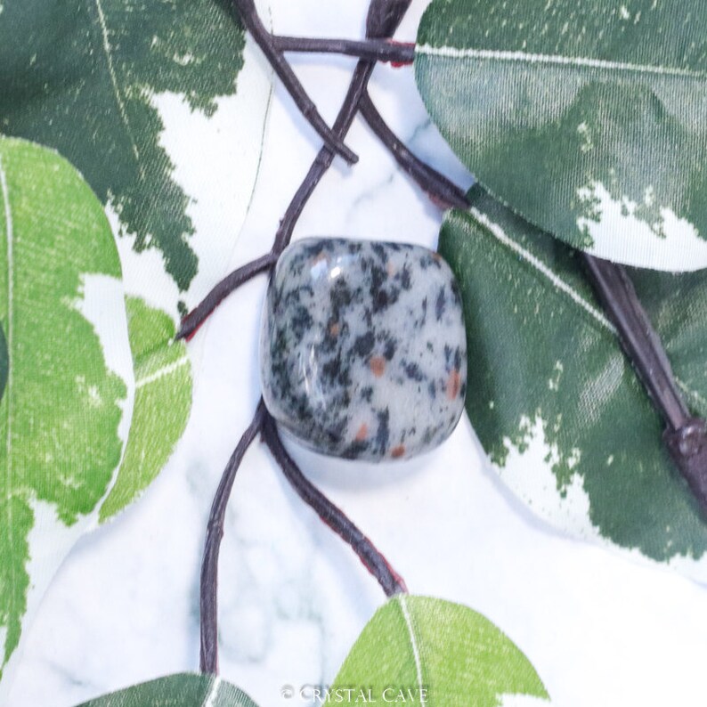 Garnet Gneiss Actinolite Crystal Tumbled Stone Polished | Etsy