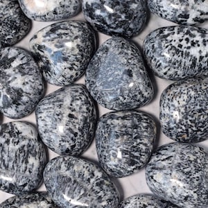 Orbiculite Crystal - Tumbled Stone Polished Gemstone / Protection ...