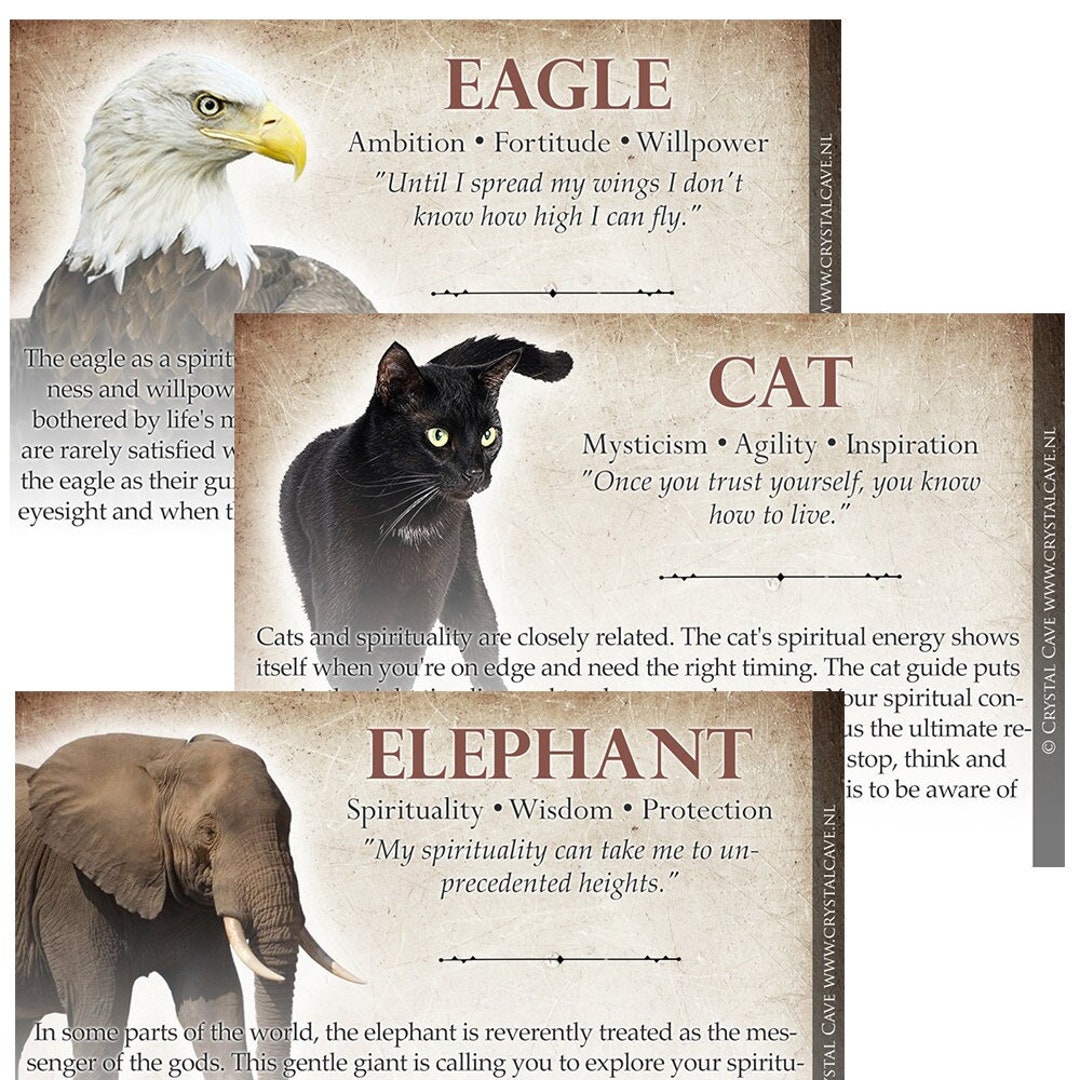 34 Spirit Animal Cards - Information Cards About Totem Power Animals ...