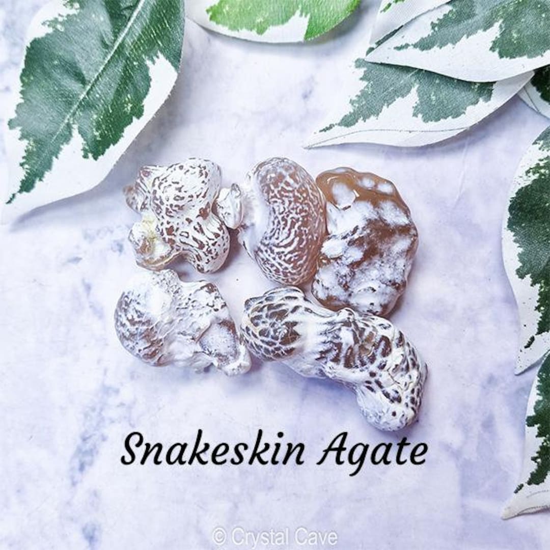 Snakeskin Agate Crystal - Tumbled Stone - Polished Gemstone / Letting ...