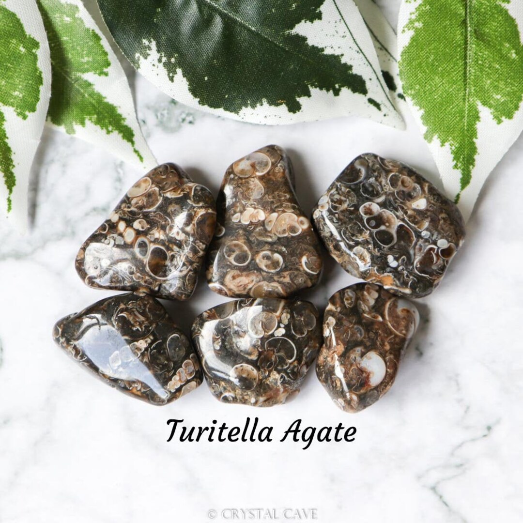 Turritella Agate Crystal - Tumbled Stone Polished Gemstone / Previous ...