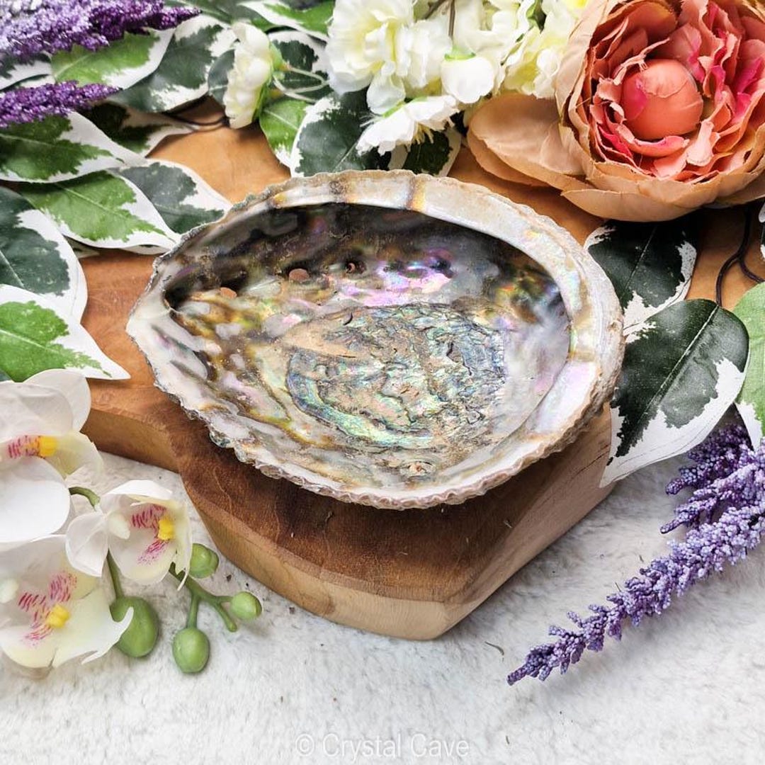 Abalone Shell / Smudge Home Cleansing Smudging Meditation Wealth ...