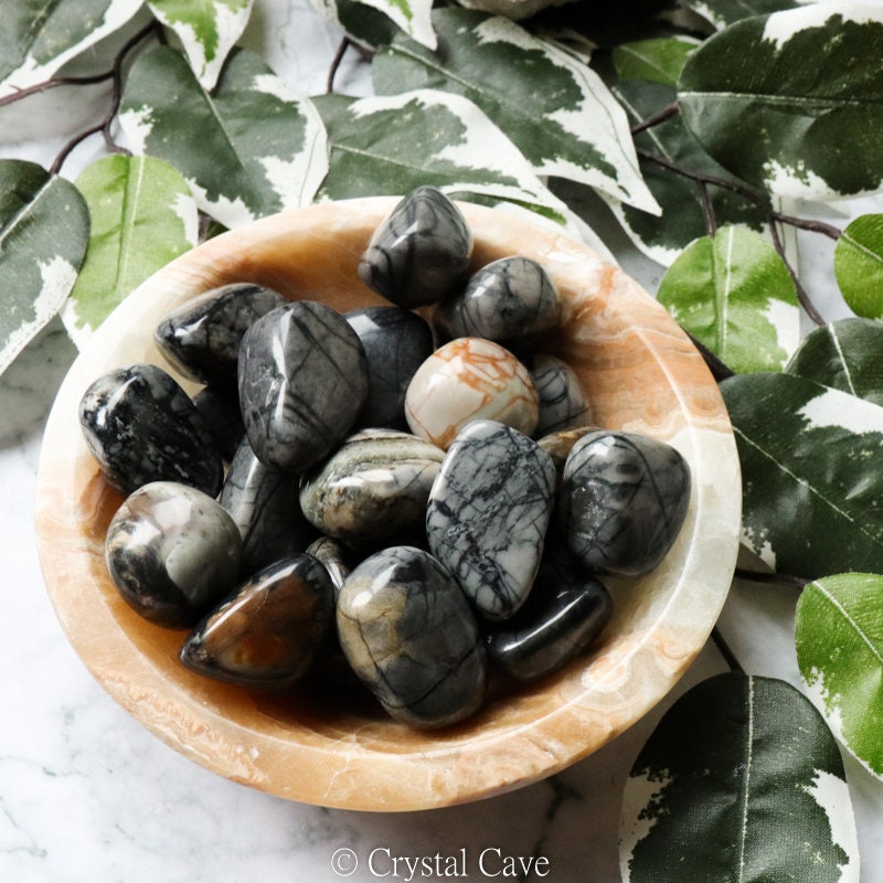 Picasso Jasper Crystal Tumbled Stone Polished Stone | Etsy