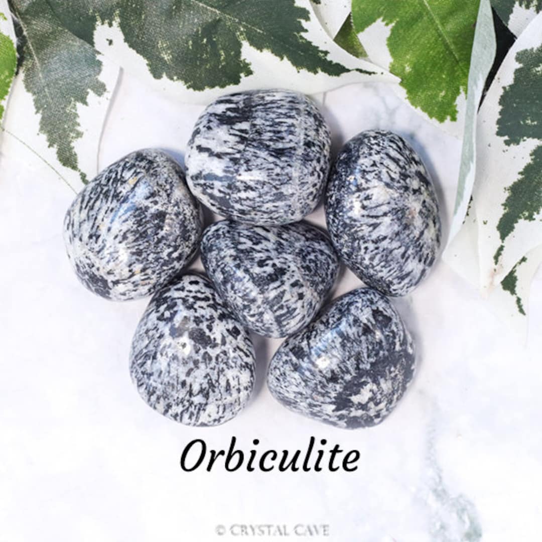 Orbiculite Crystal - Tumbled Stone Polished Gemstone / Protection ...