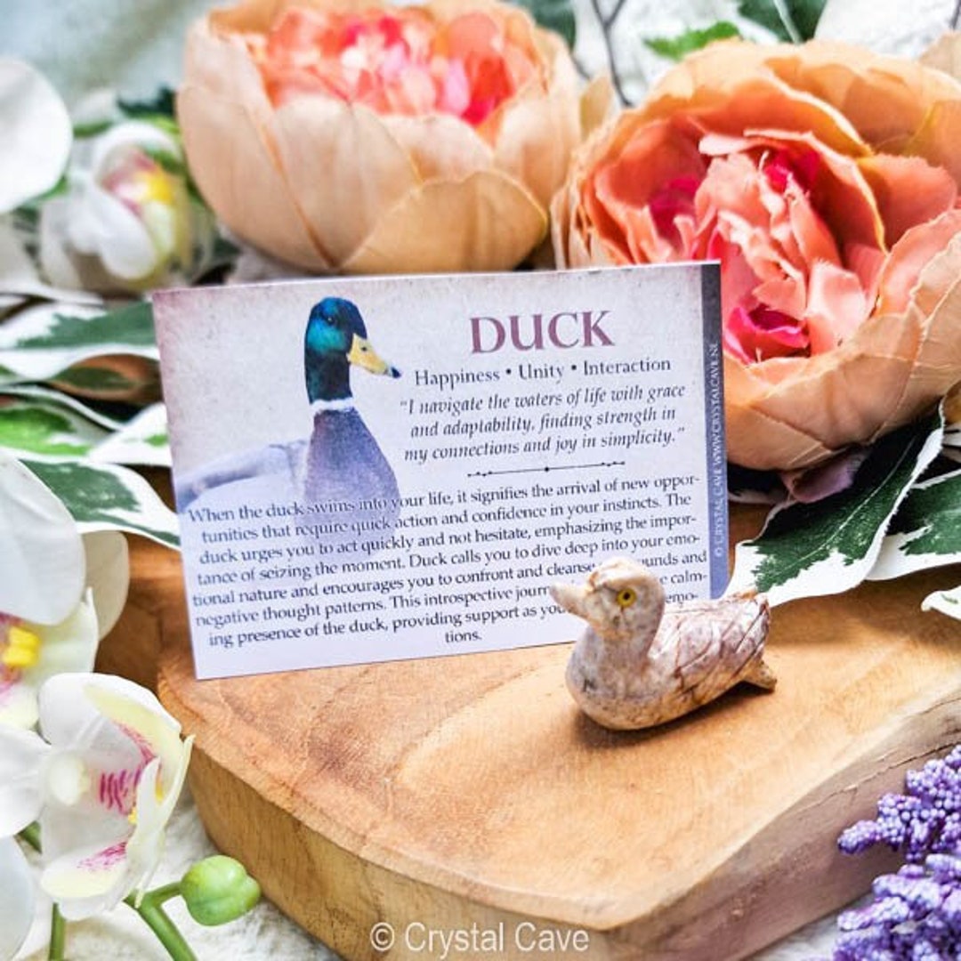 Soapstone Duck - Spirit Animal Totem Power Gemstone Crystal Stone ...