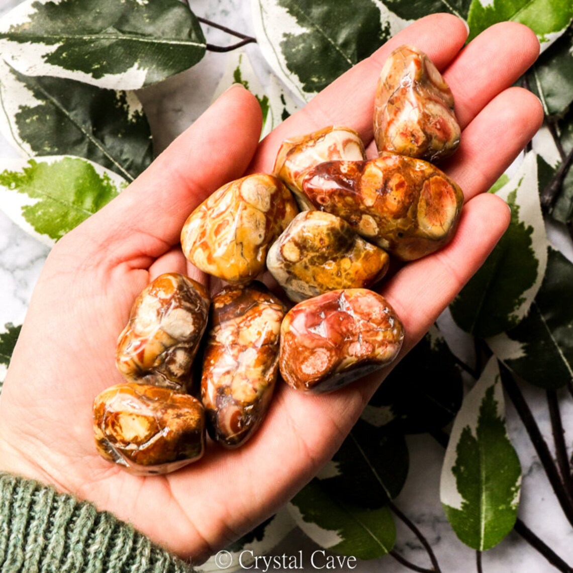 Birds Eye Jasper Rhyolite Crystal - Tumbled Stone Polished Gemstone ...