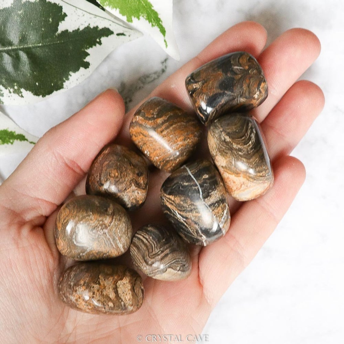 Stromatolite Crystal - Tumbled Stone Polished Gemstone / Personal ...