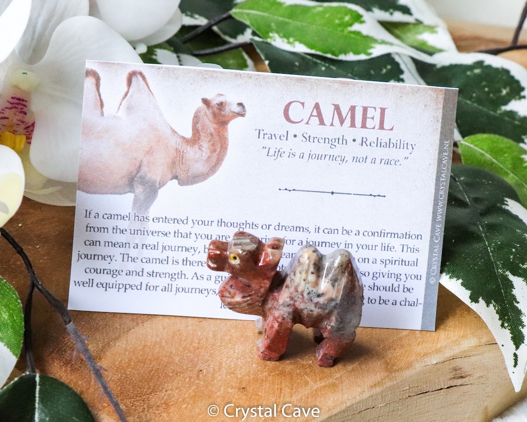Soapstone Camel - Spirit Animal Totem Power Gemstone Crystal Stone ...