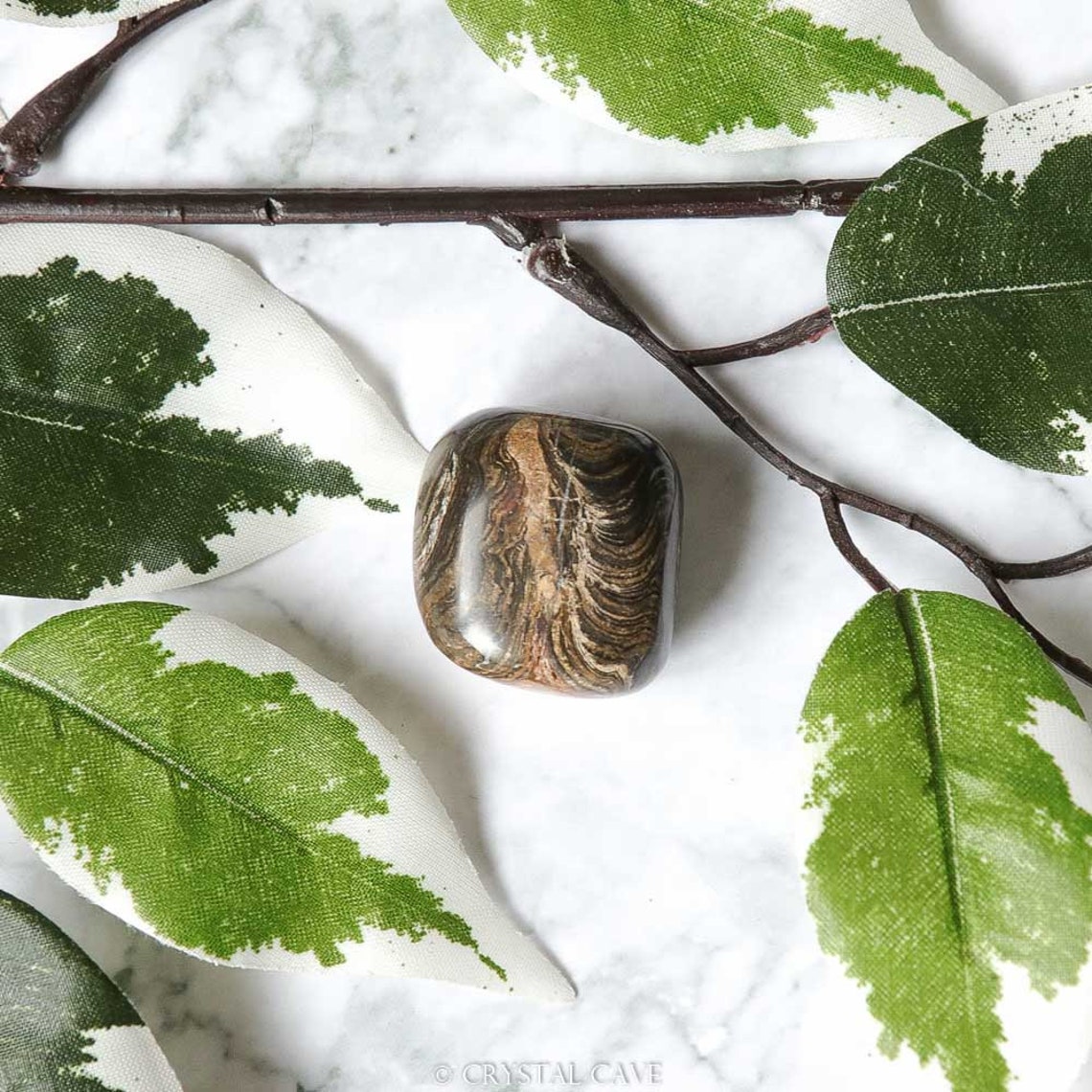 Stromatolite Crystal - Tumbled Stone Polished Gemstone / Personal ...