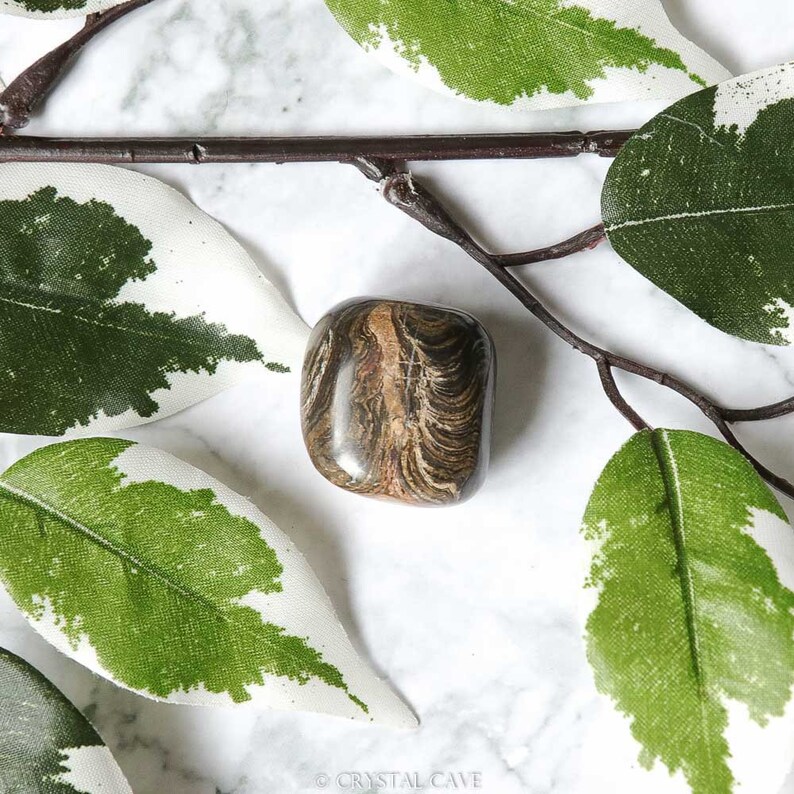Stromatolite Crystal - Tumbled Stone Polished Gemstone / Personal ...