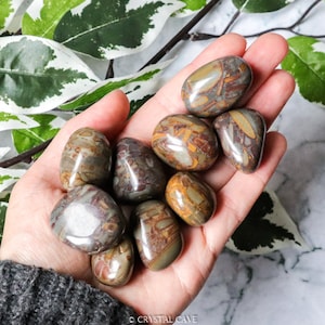 Bamboo Jasper Crystal Tumbled Stone Polished Gemstone / Meditation ...