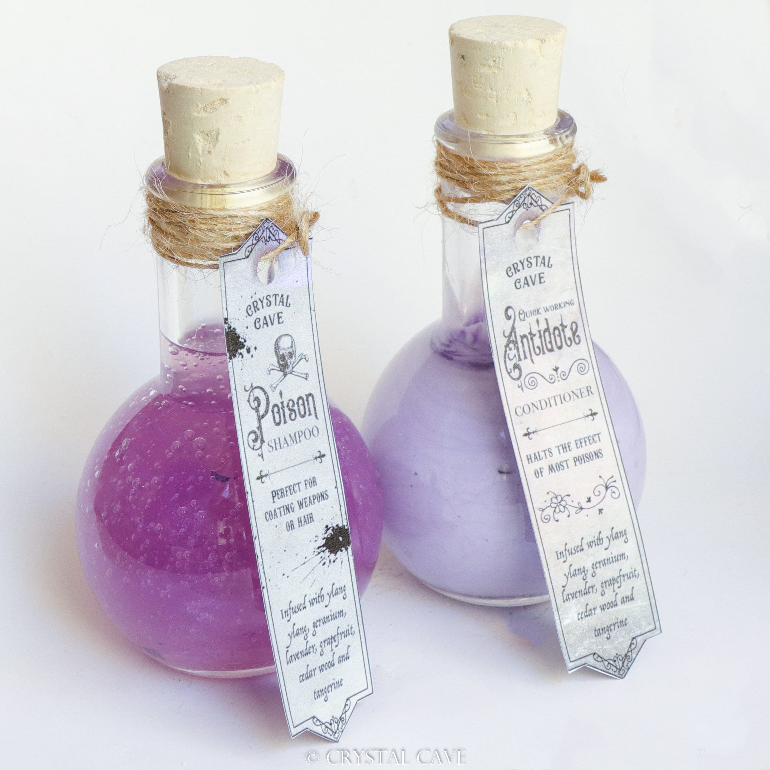Poison & Antidote Potion Shampoo and Conditioner Fantasy | Etsy