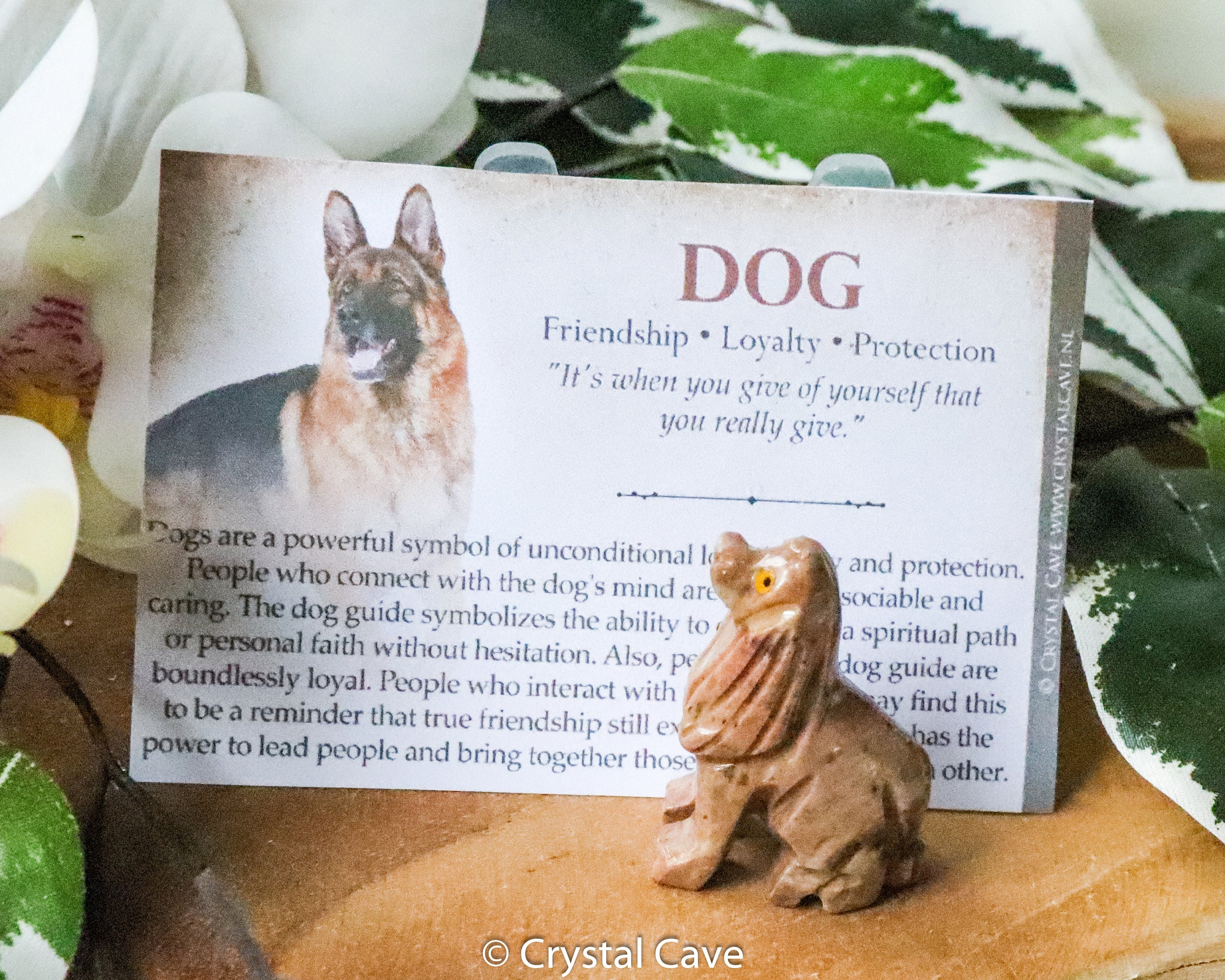 Are Dogs Spiritual Animals