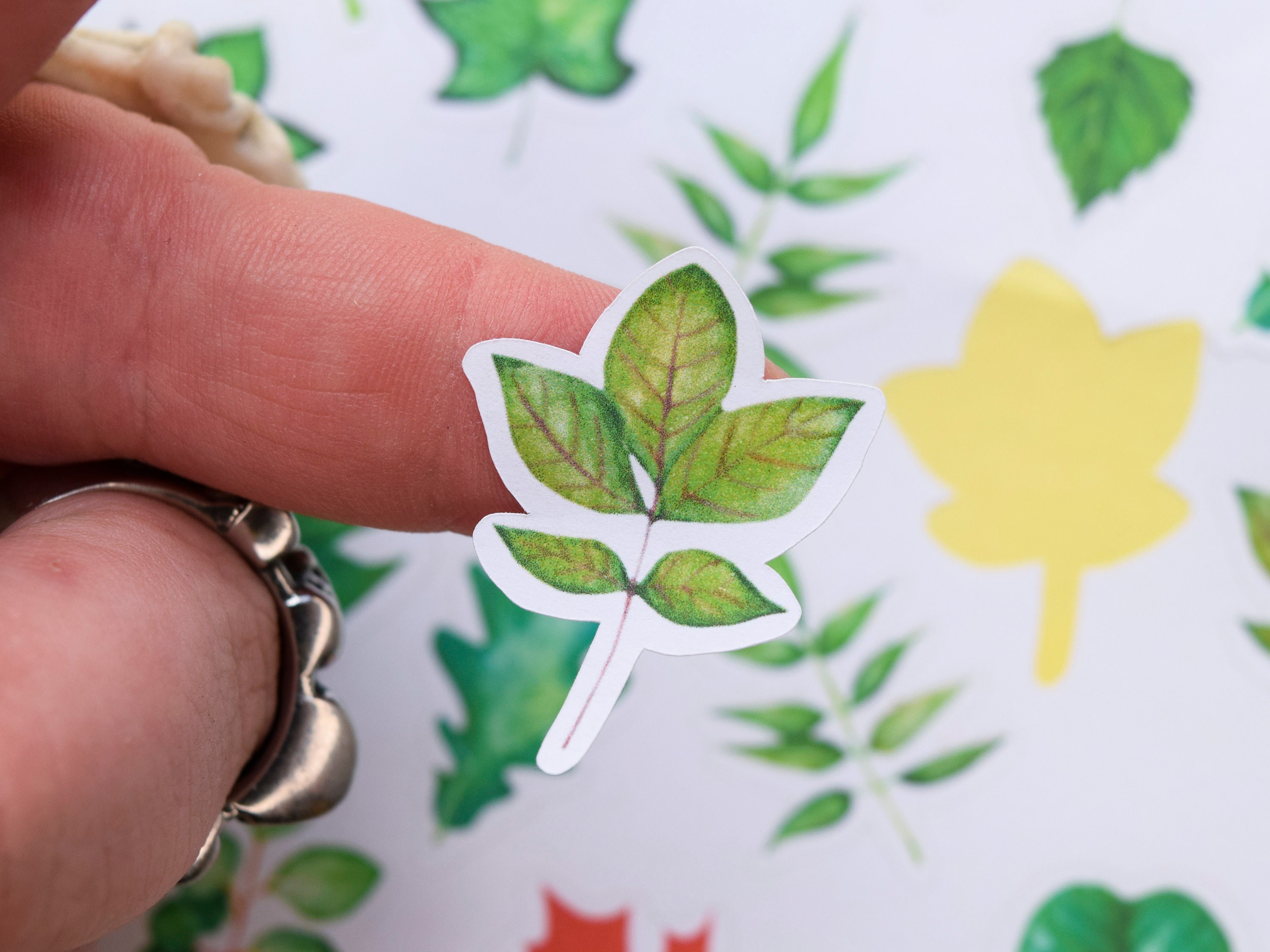 Leaves Sticker Sheet | Etsy