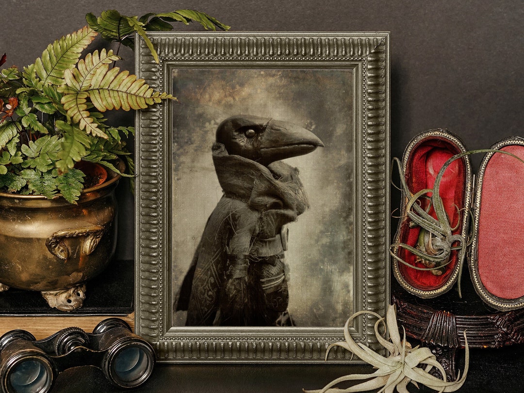The Raven Magician. Fine Art Print in Sizes 5 X 7 and 8 X 10" - Etsy
