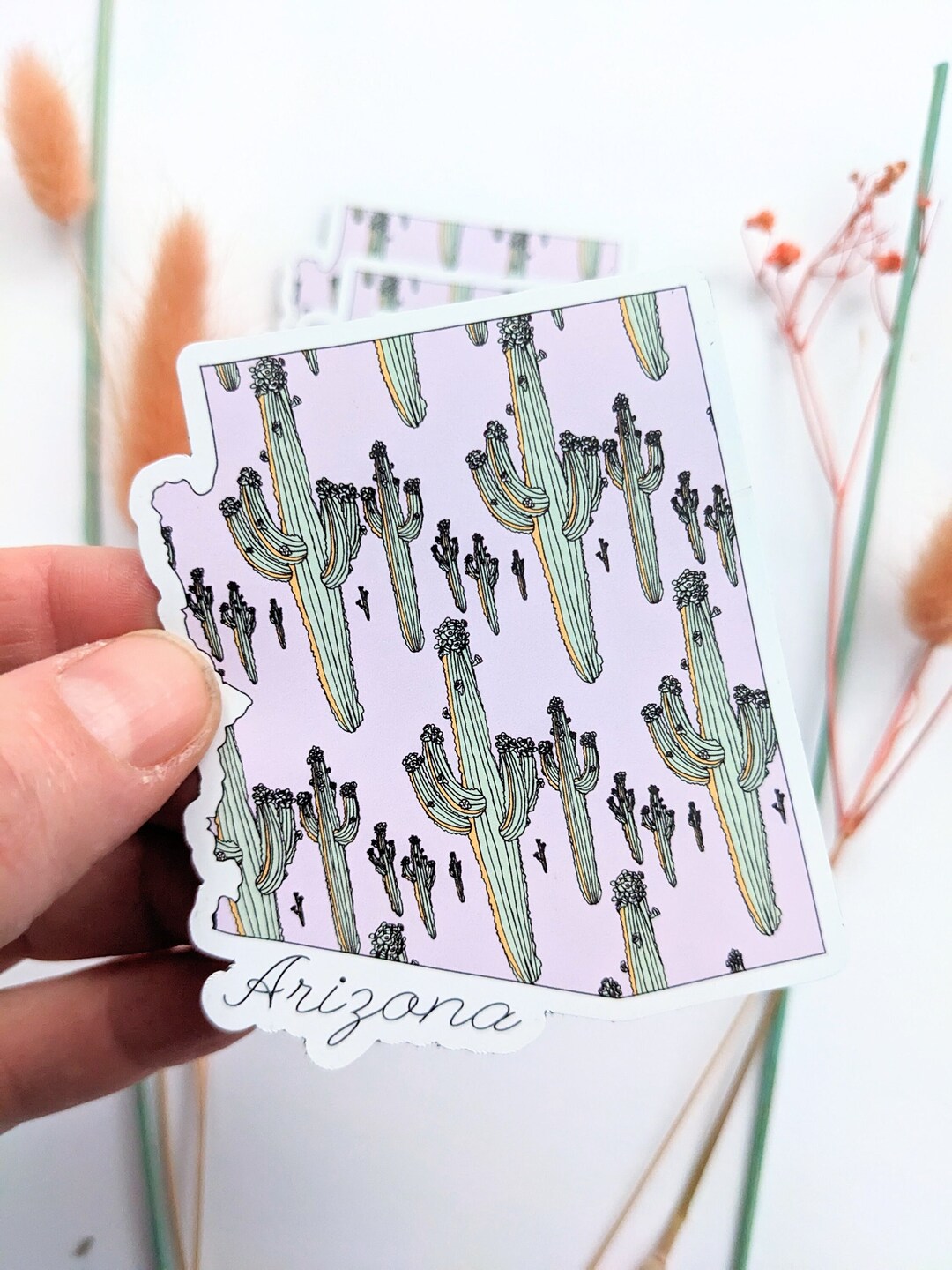 Arizona Souvenir Magnet, Phoenix & Tuscon Magnet, Saguaro National Park ...