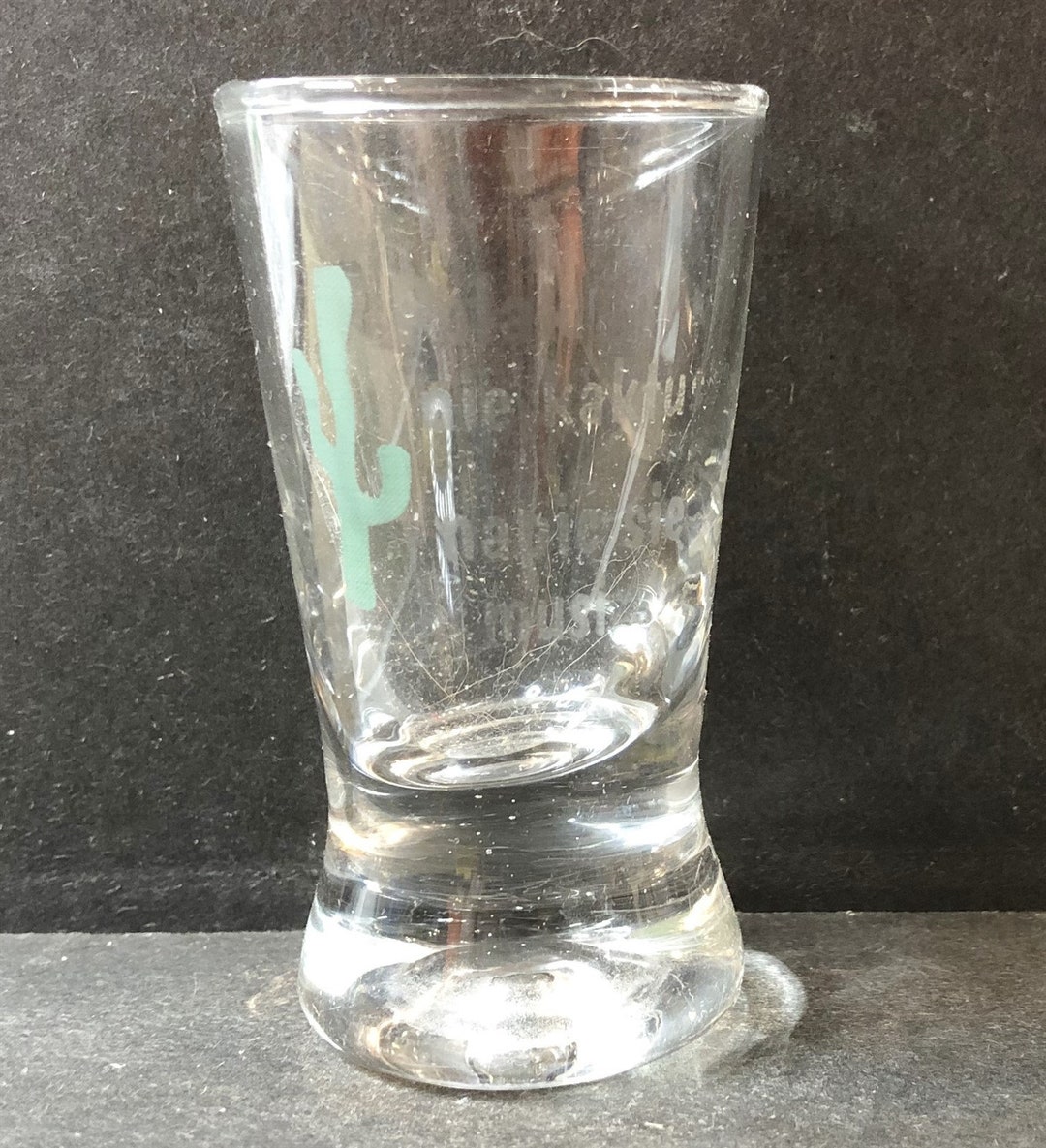 Polak Nie Kaktus Napic Sie Musi (a Pole Must Not Drink a Cactus) With a Cactus on 1oz Glass Shot ...