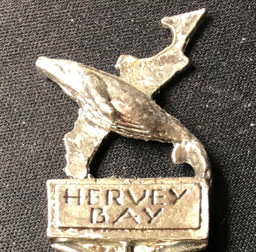 Hervey Bay, Australia With Dolphin (top) on Souvenir Spoon - Pre-owned ...