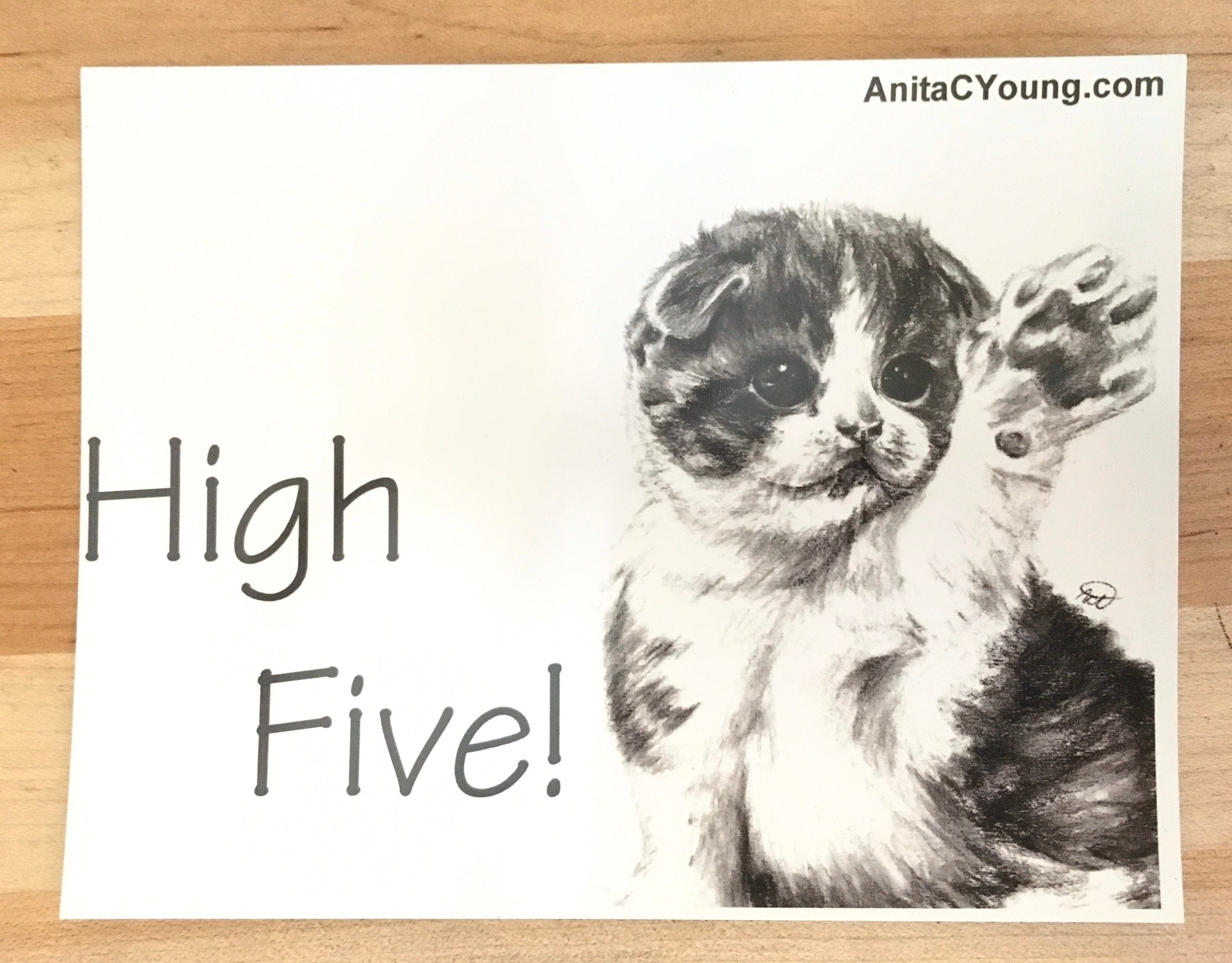 Cat High Five Drawing