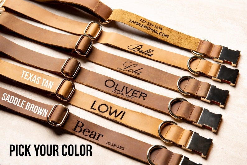 Pup of Honor - Personalized Distressed Leather Dog Collar With Metal ...