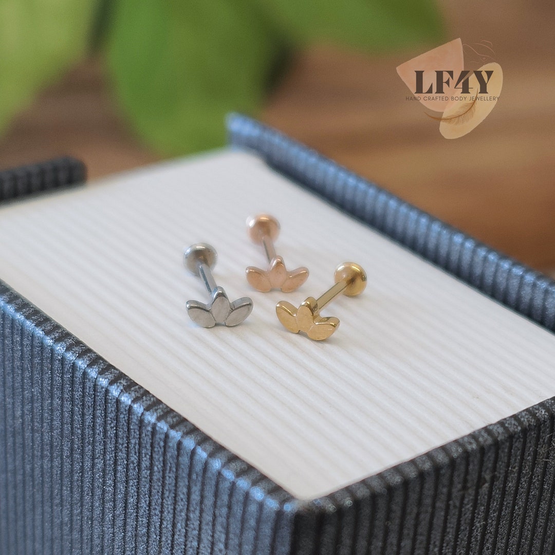 Leaf Crown Push in Labret Stud: 20g Steel Gold Tragus, Helix, Conch ...