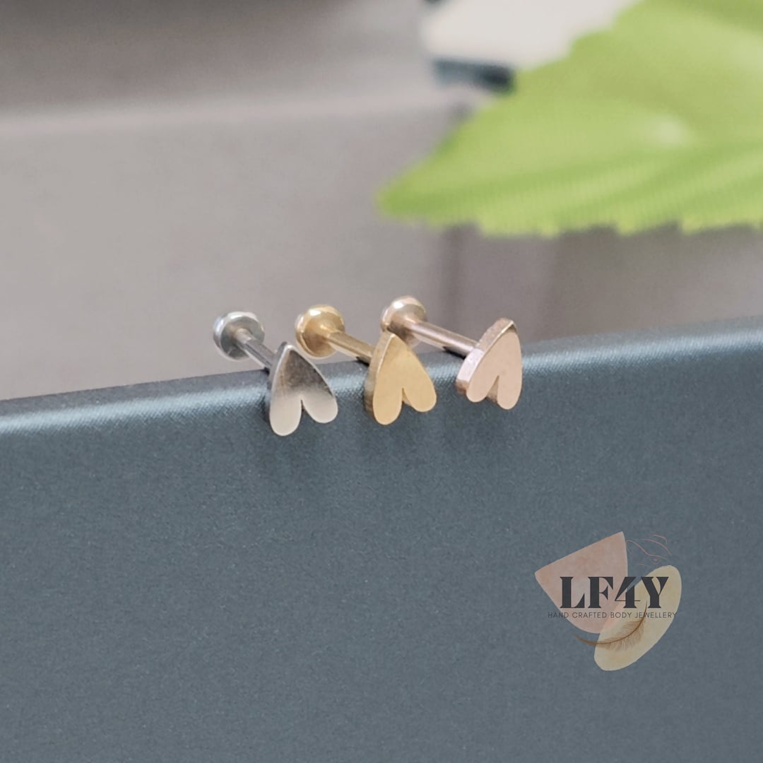 Tiny Heart Push in Labret Stud: 20g Threadless Steel Tragus, Conch ...