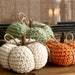 Rustic Pumpkin Trio Crochet Pattern - Etsy