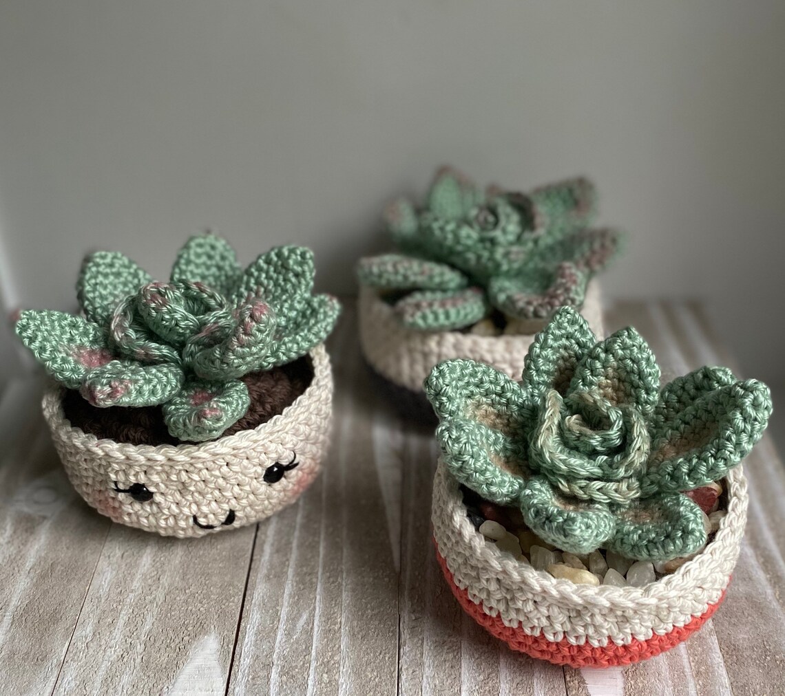 Rosette Succulent Crochet Pattern - Etsy