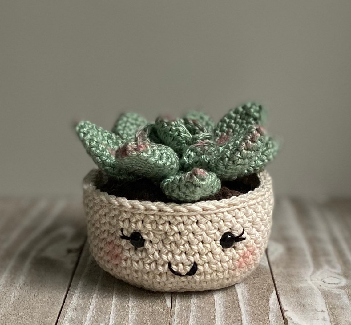 Rosette Succulent Crochet Pattern - Etsy